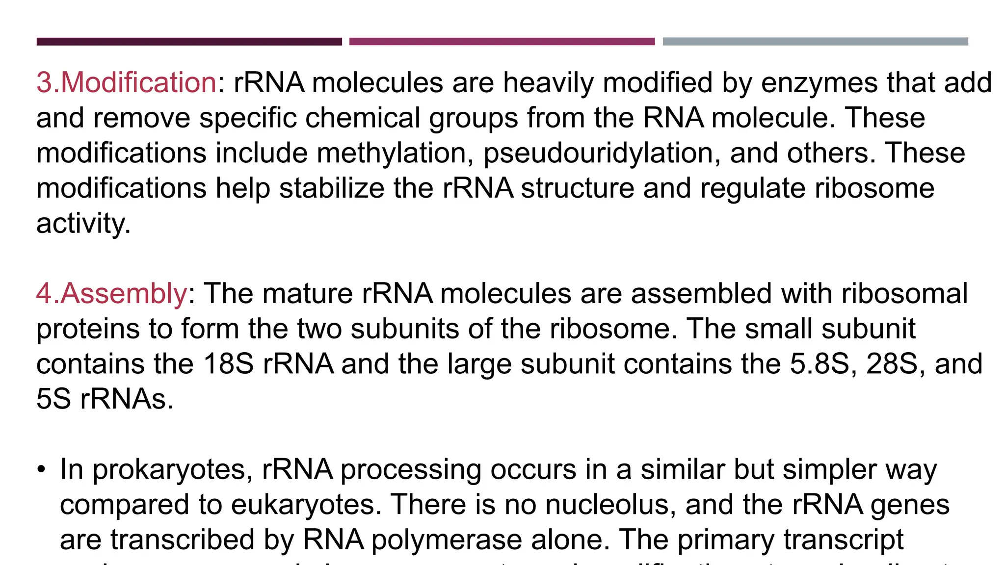 rna processing in prokaryotes and eukaryotes.pptx