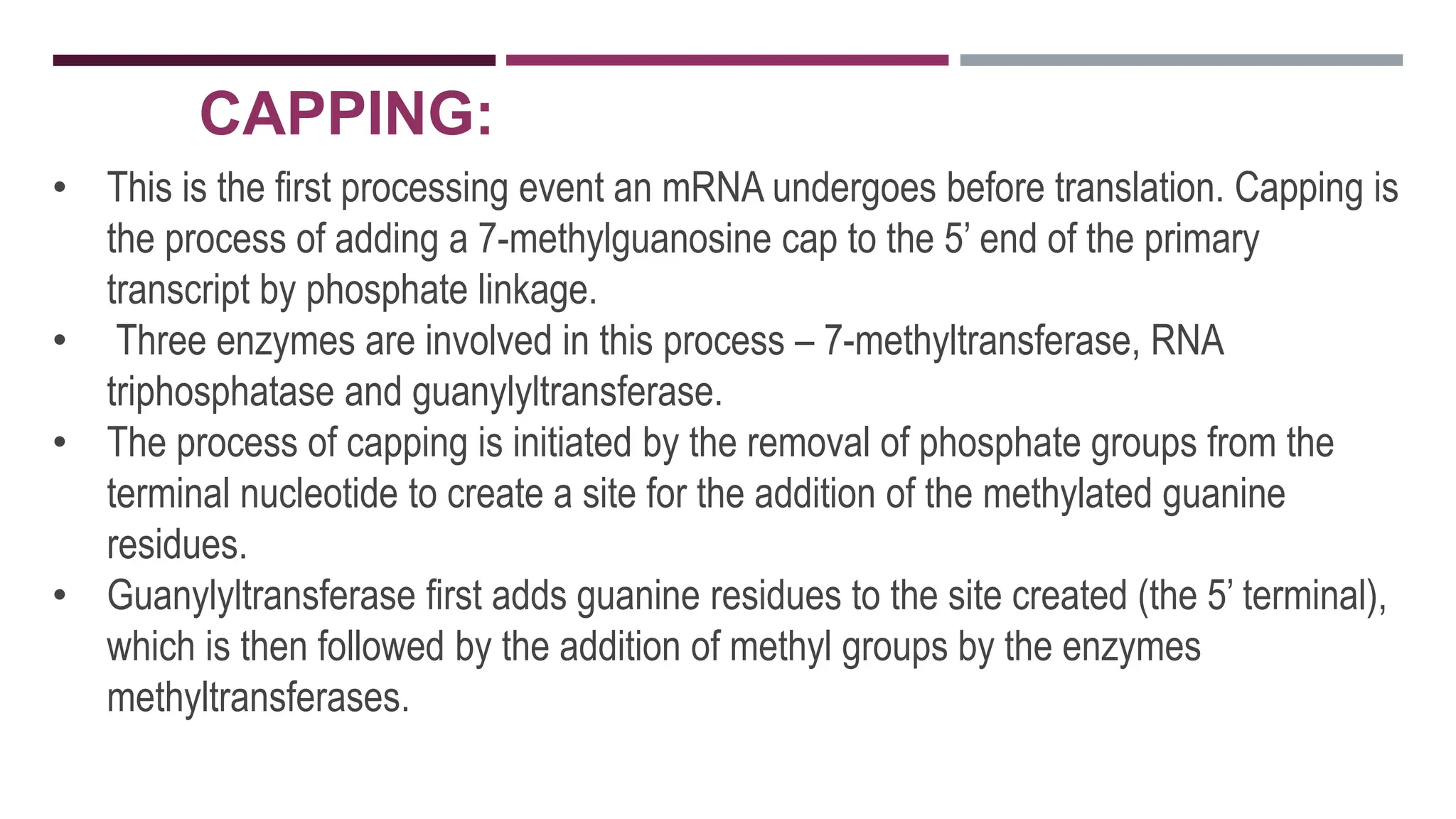 rna processing in prokaryotes and eukaryotes.pptx