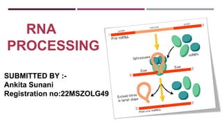 rna processing in prokaryotes and eukaryotes.pptx