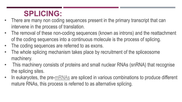 rna processing in prokaryotes and eukaryotes.pptx