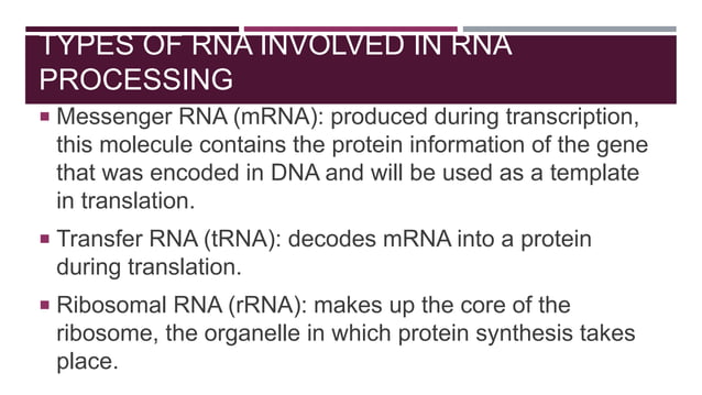 rna processing in prokaryotes and eukaryotes.pptx