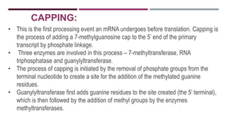 rna processing in prokaryotes and eukaryotes.pptx