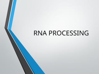 rna processing.pptxjvhcghchvjkbfuvhjvnhcvhnchbvmnj | PPT | Free Download