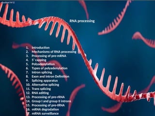 RNA processing (Introduction, Mechanism of processing, RNAediting ...