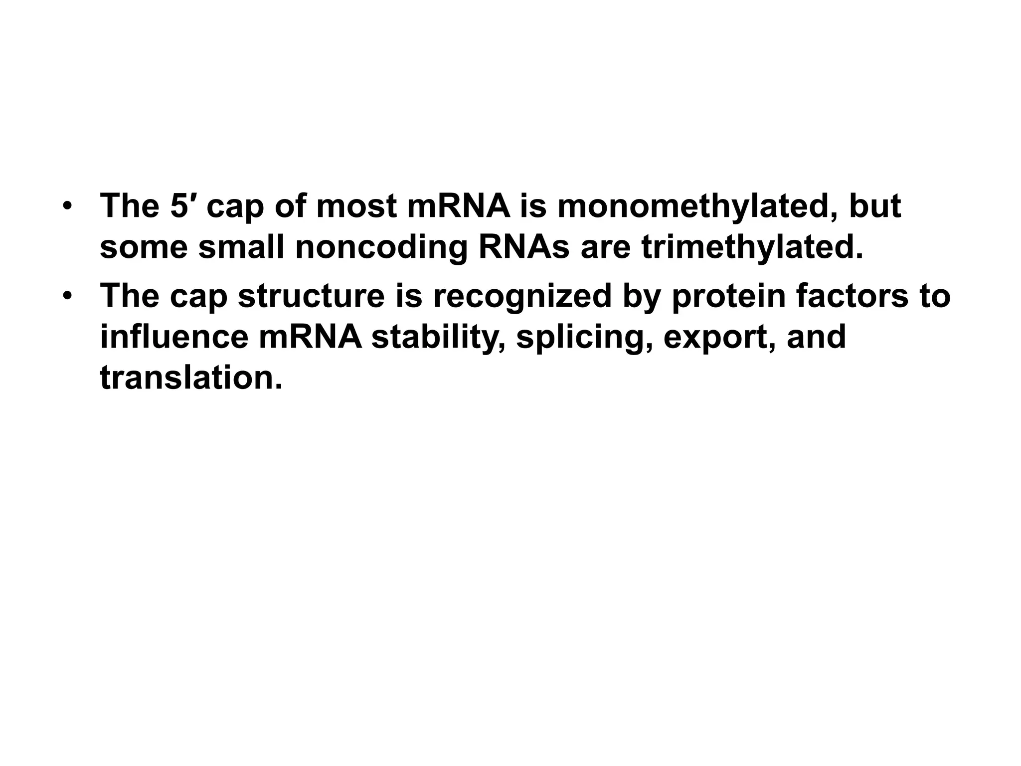 Steps for RNA processing in general .ppt