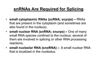 Steps for RNA processing in general .ppt