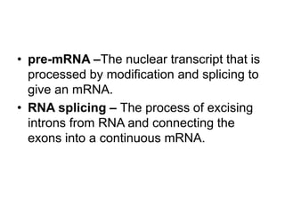 Steps for RNA processing in general .ppt