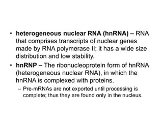 Steps for RNA processing in general .ppt