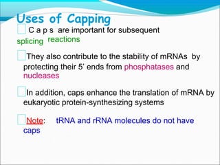 RNA processing and Splicing.pptx