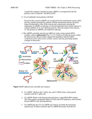 RNAProcessingCh12.pdf