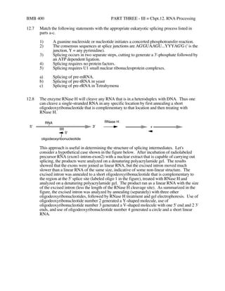 RNAProcessingCh12.pdf
