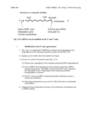 RNAProcessingCh12.pdf