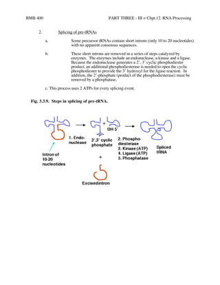 RNAProcessingCh12.pdf