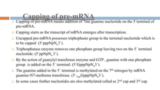 RNA processing complete.pptx