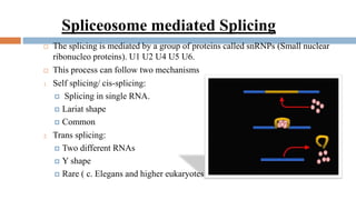 RNA processing complete.pptx