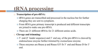 RNA processing complete.pptx