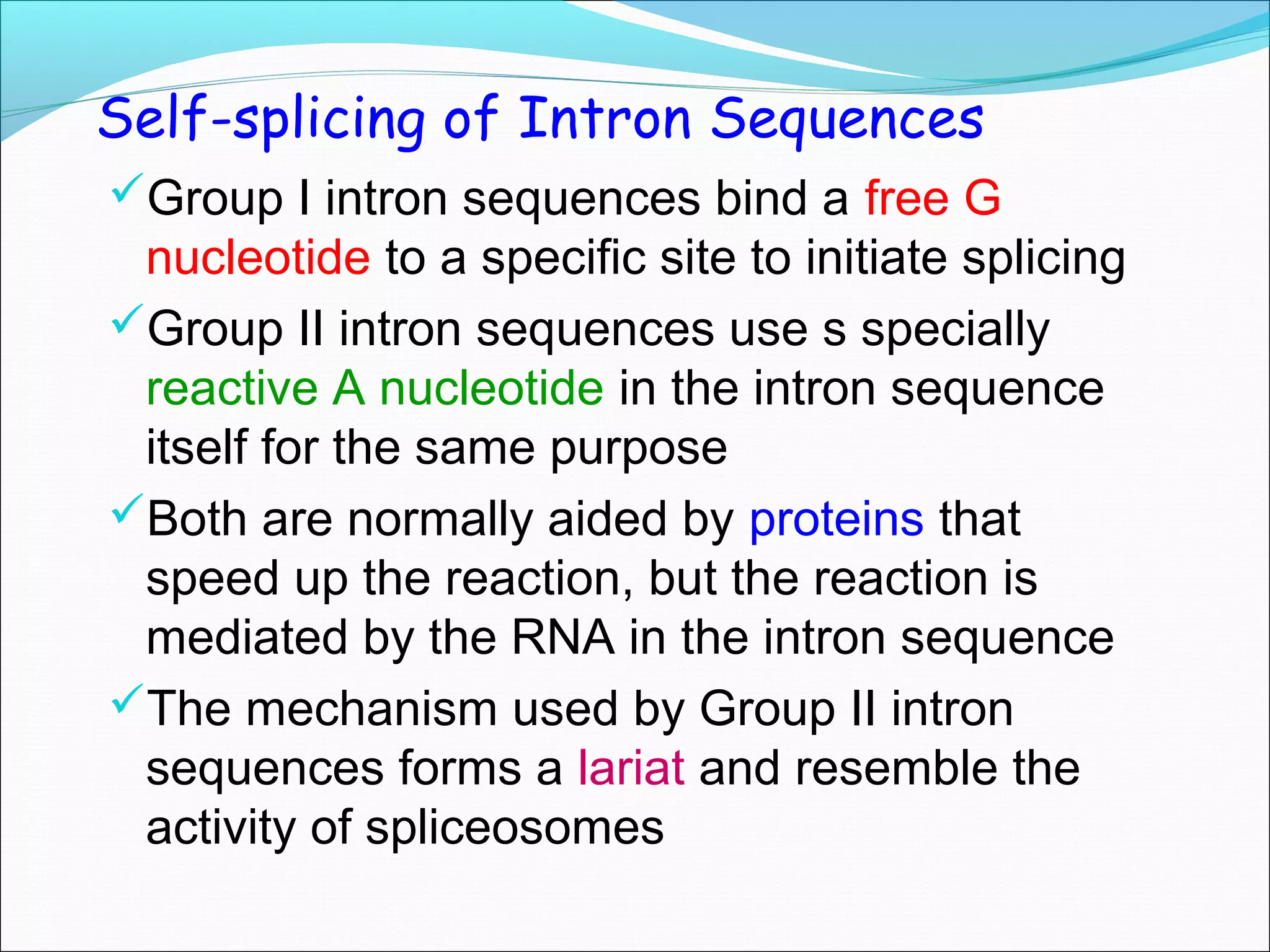 RNA processing final eukaryotes. | PPT