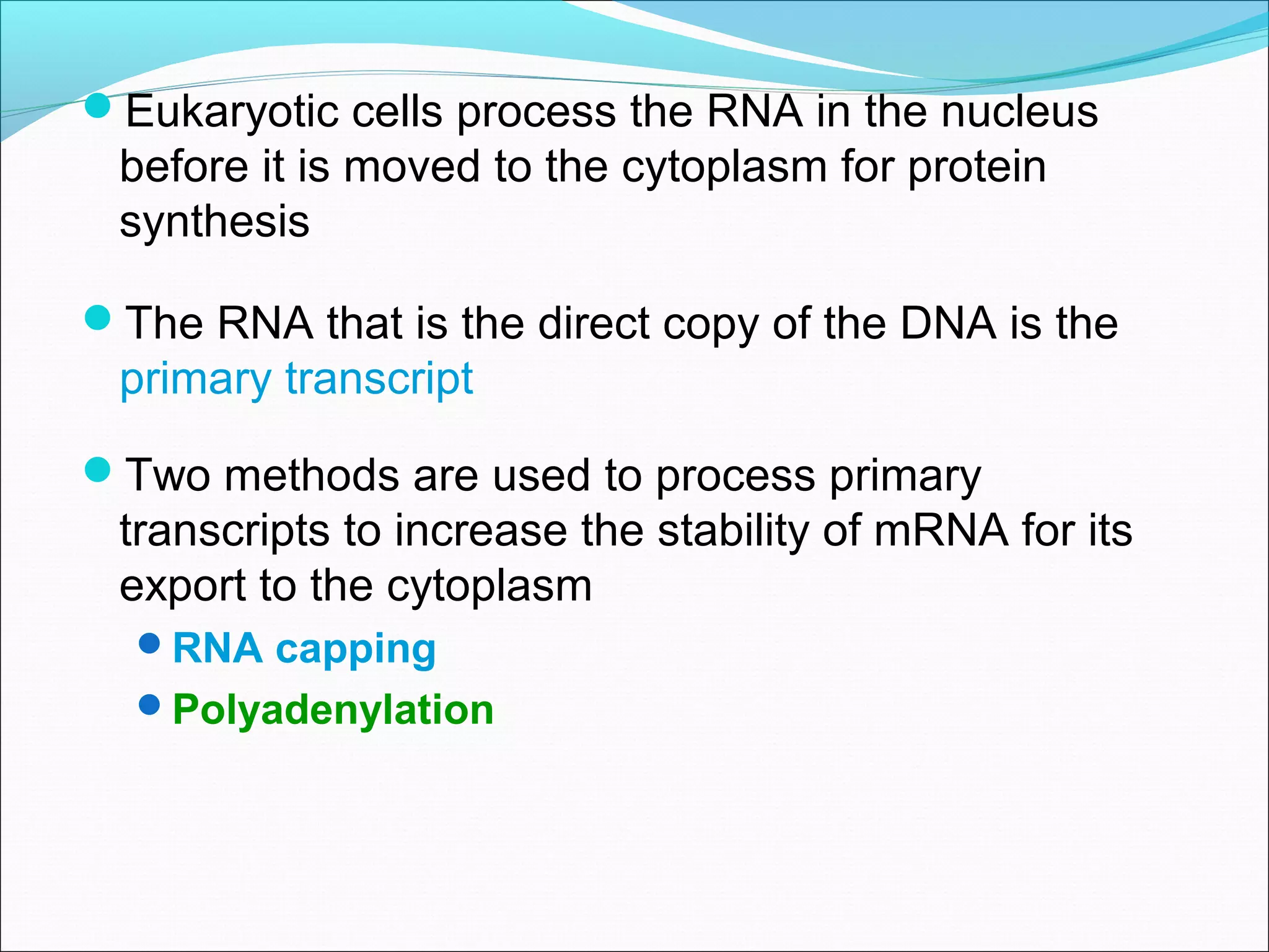 RNA processing final eukaryotes. | PPT