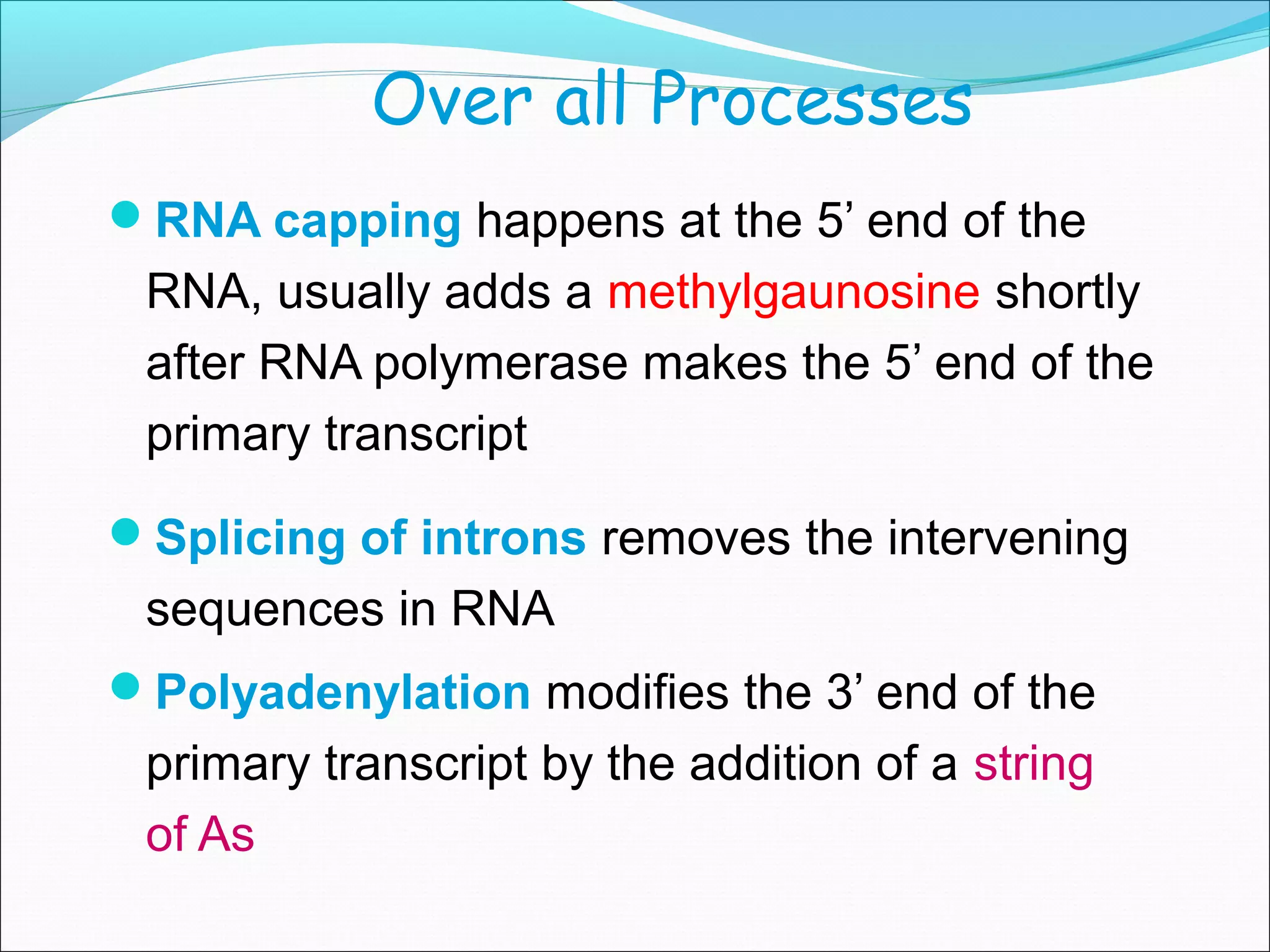 RNA processing final eukaryotes. | PPT