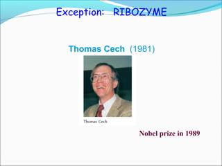 RNA processing final eukaryotes. | PPT