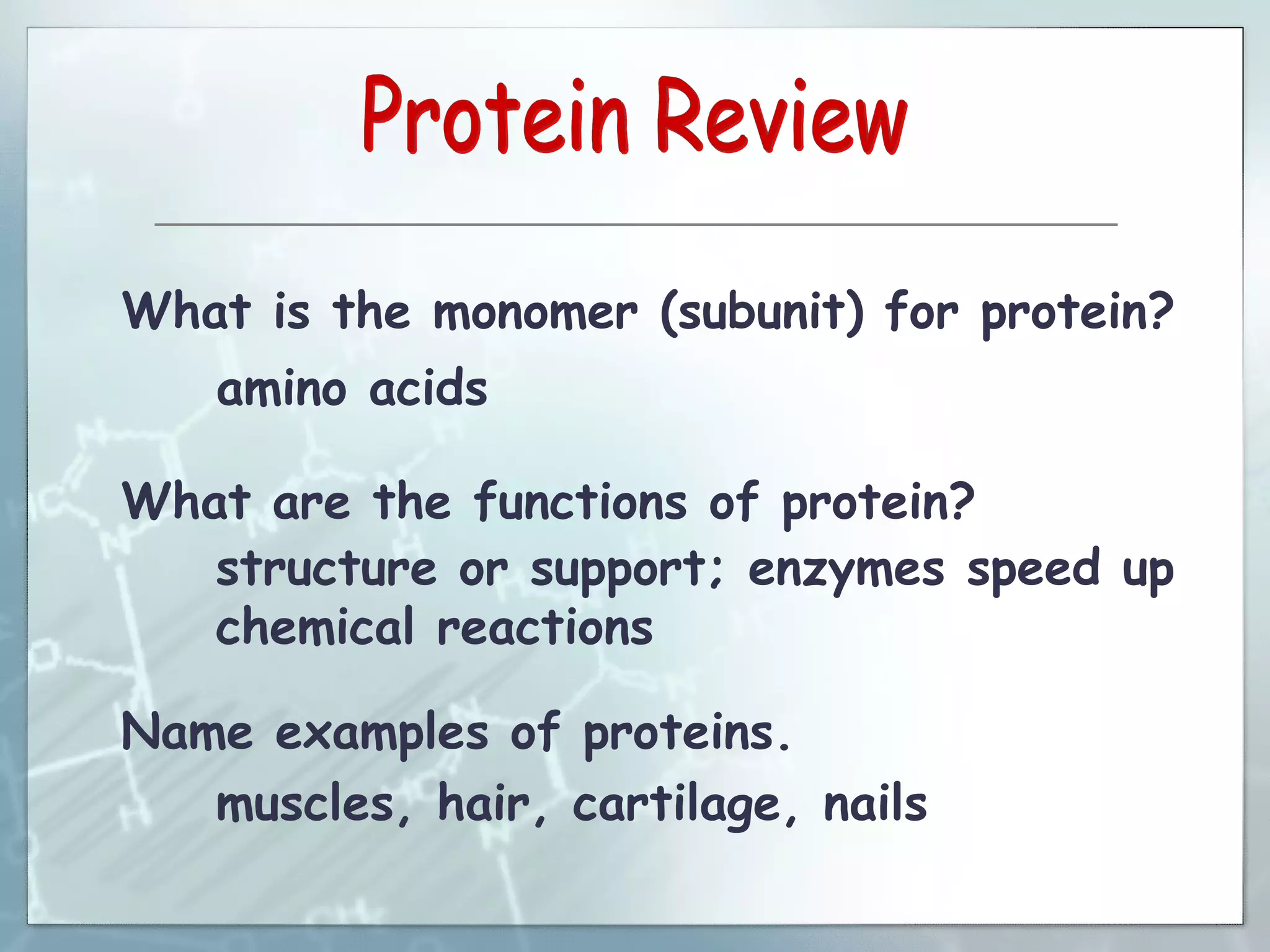Rna protein synthesis | PPT