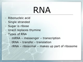 Rna protein synthesis | PPT