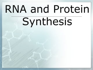 RNA & Protein Synthesis | PPT