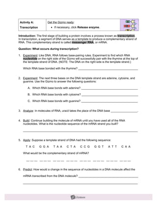 Rna protein synthesisse | PDF