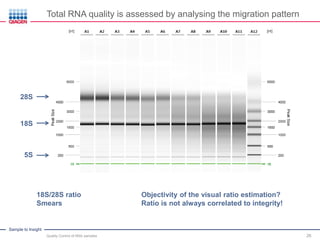RNA Quality Control - Comparing Different RNA Quality Indicators | PDF