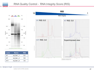 RNA Quality Control - Comparing Different RNA Quality Indicators | PDF