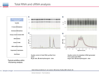RNA Quality Control - Comparing Different RNA Quality Indicators | PDF