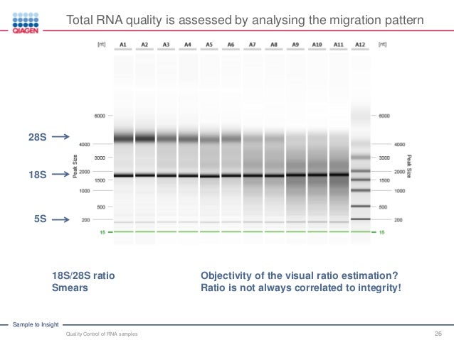 RNA Quality Control - Comparing Different RNA Quality Indicators