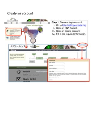 Rna rocket demo | PDF