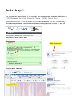 Rna rocket demo | PDF