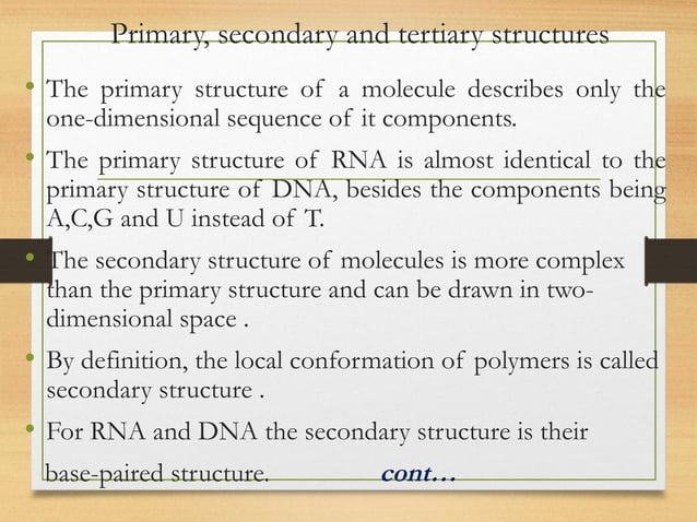 RNA secondary structure prediction | PPT