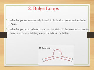 RNA secondary structure prediction | PPT