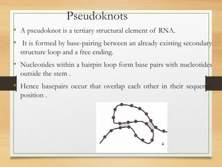 RNA secondary structure prediction | PPT
