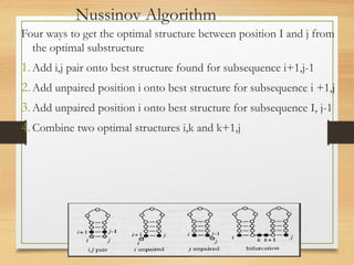 RNA secondary structure prediction | PPT