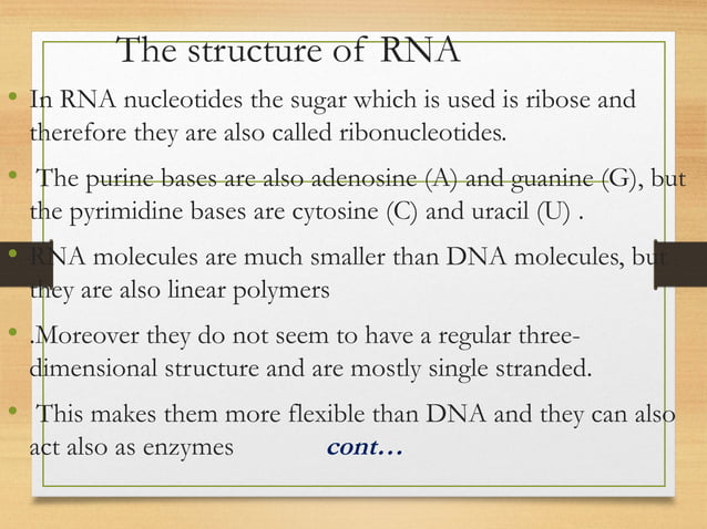 RNA secondary structure prediction | PPT