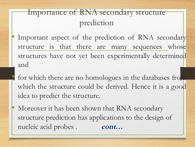 Rna Secondary Structure Prediction