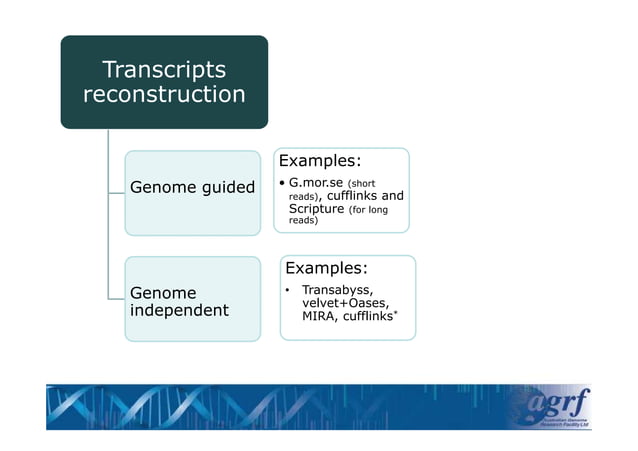 An introduction to RNA-seq data analysis | PDF