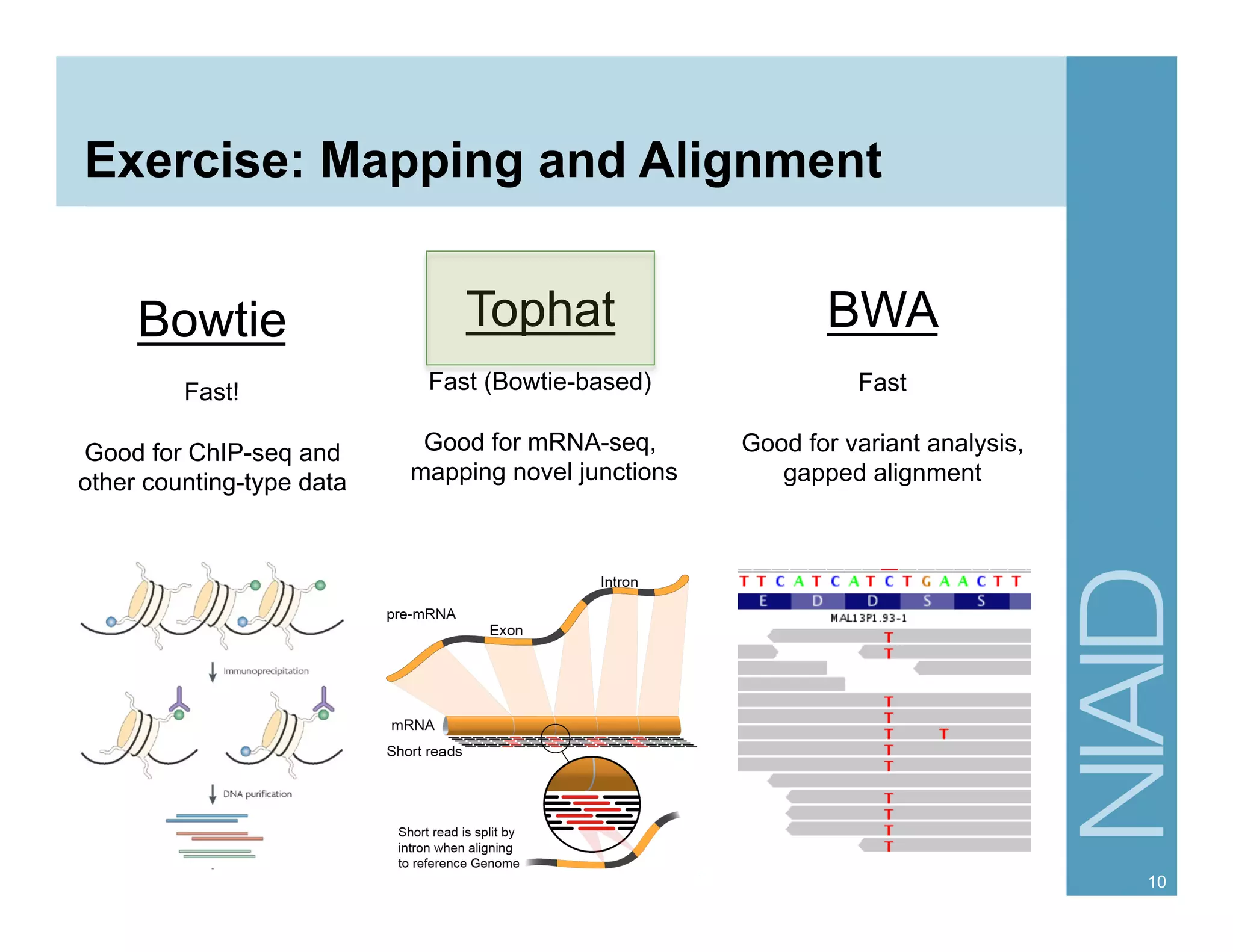 RNA-Seq | PDF