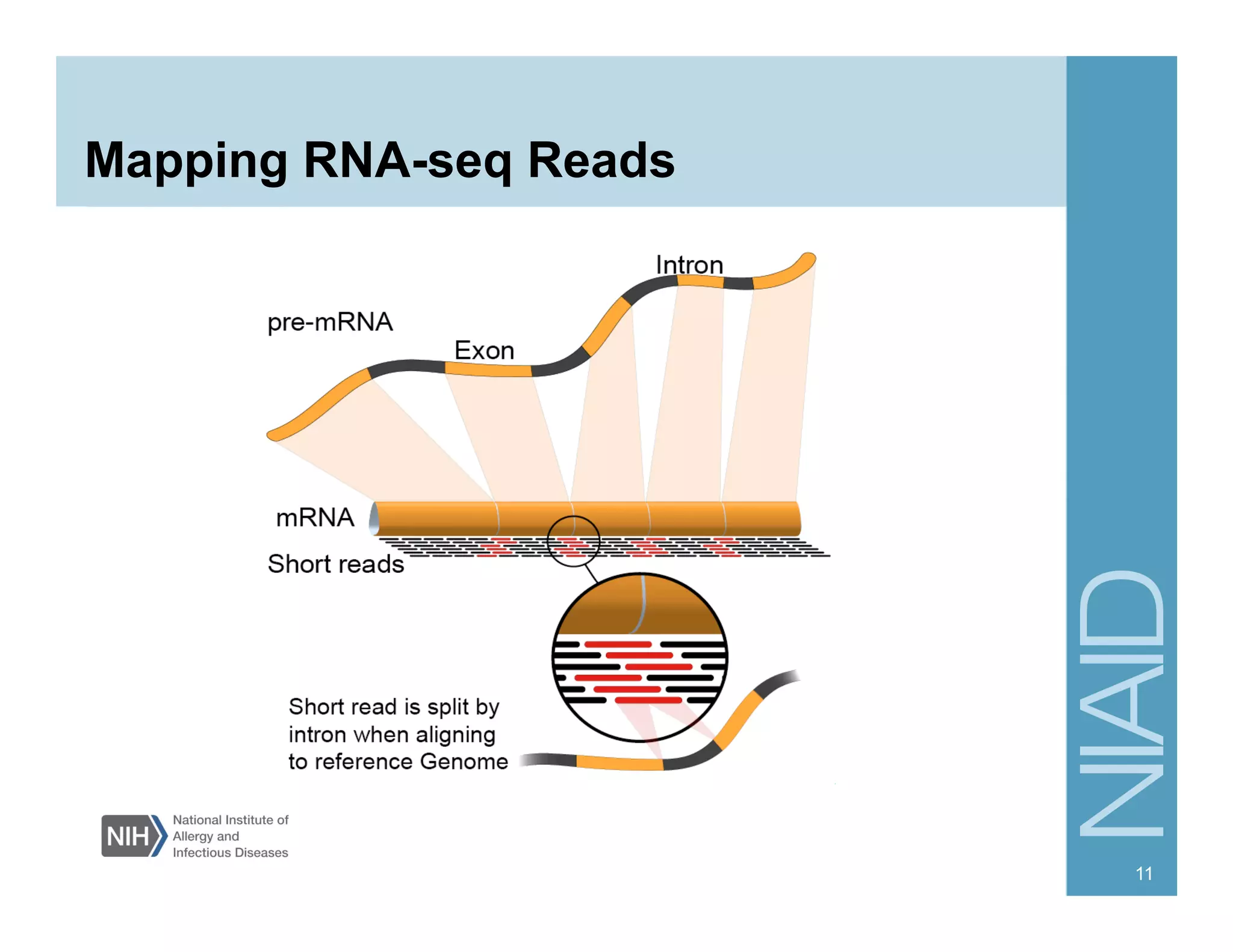 RNA-Seq | PDF