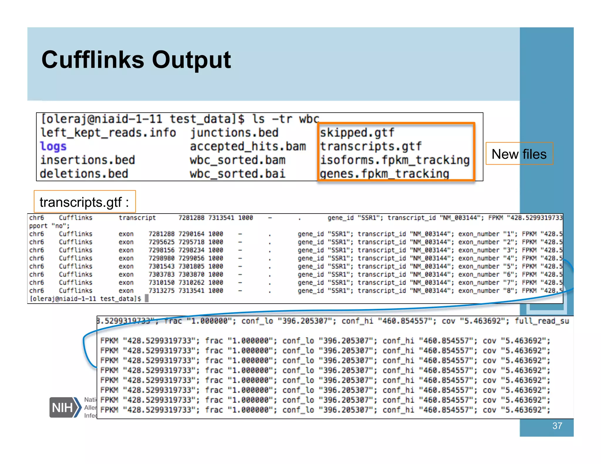 RNA-Seq | PDF | Genetics | Science