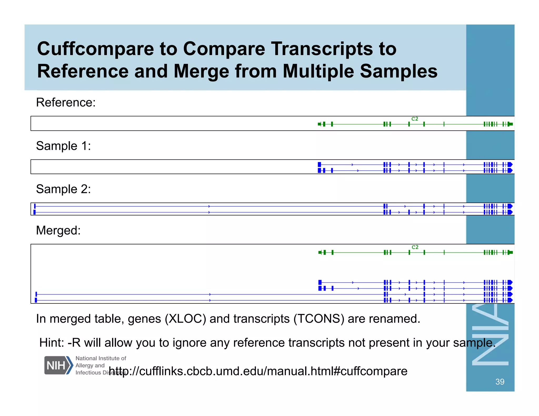 RNA-Seq | PDF