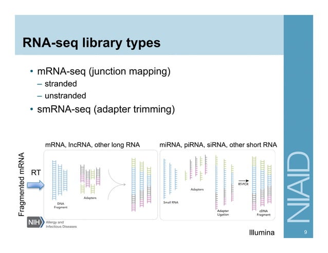 RNA-Seq | PDF | Genetics | Science