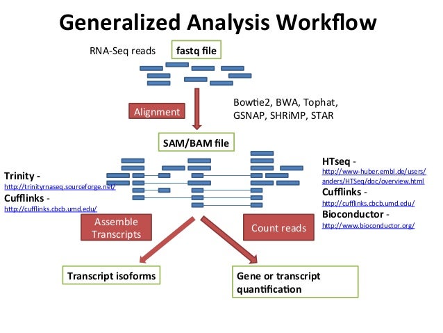RNASeq Experiment Design