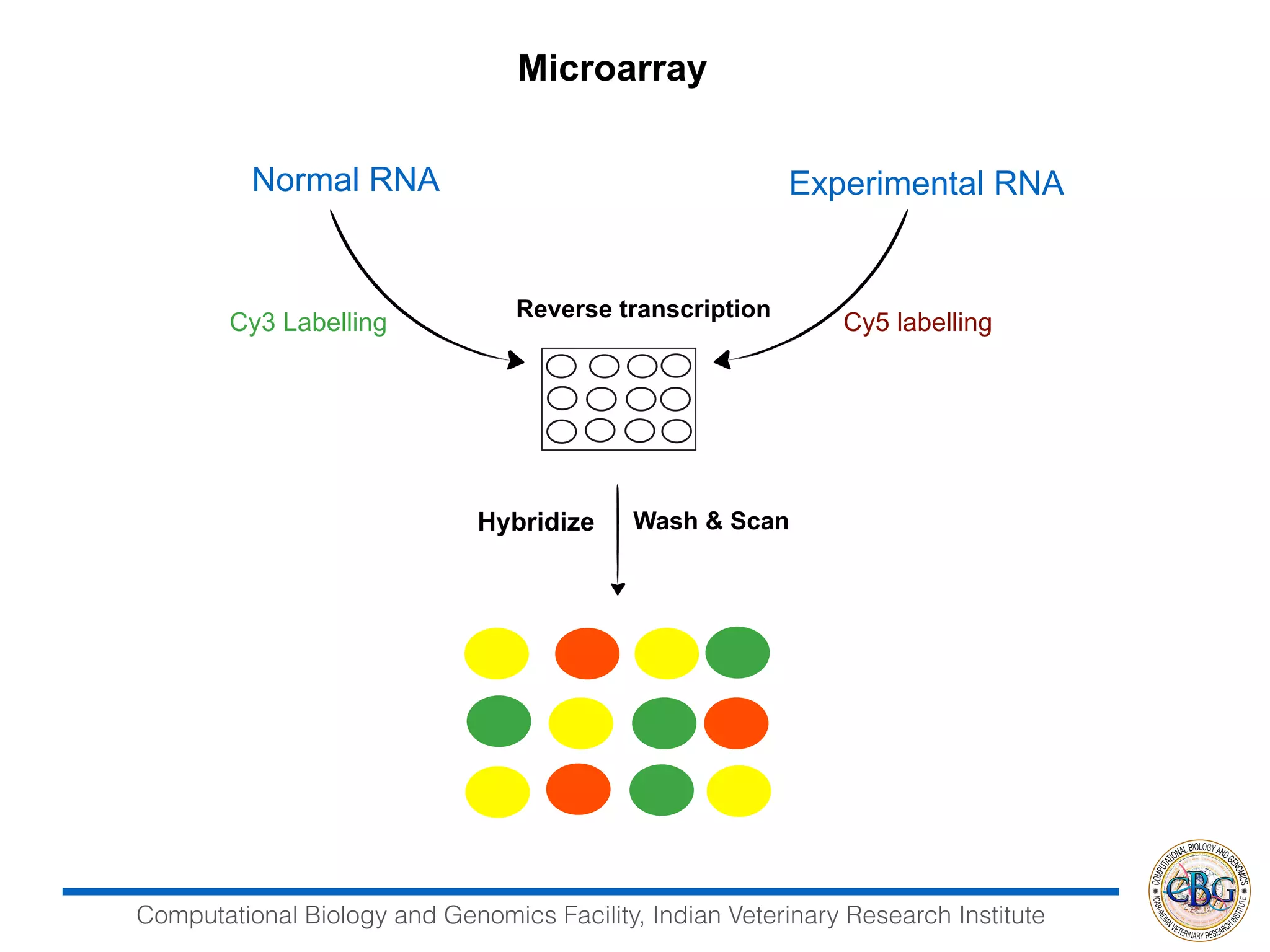 RNA Seq Data Analysis | PDF