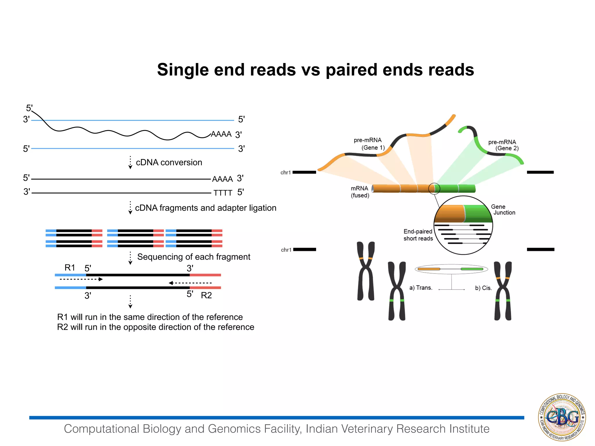 RNA Seq Data Analysis | PDF | Biotech and Biomedical Industry | Industries