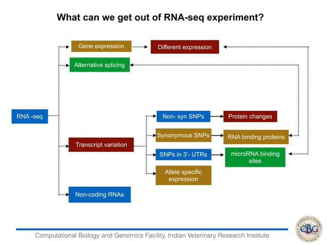RNA Seq Data Analysis | PDF | Biotech and Biomedical Industry | Industries